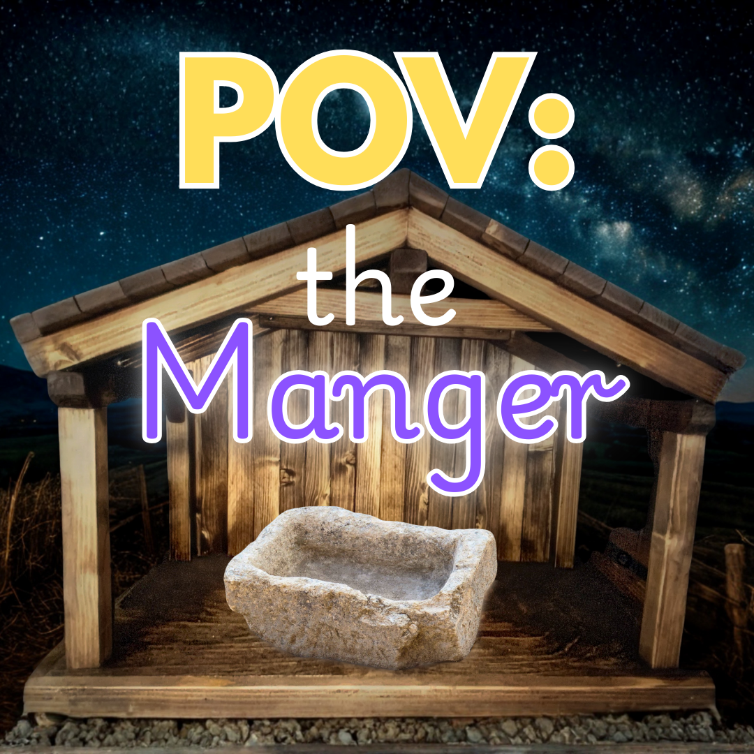 POV: the Manger (Sheep) | nicodemus3719